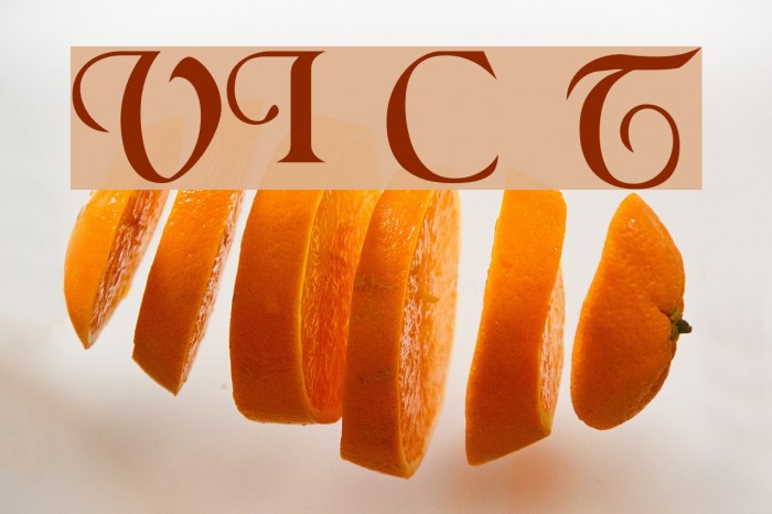 VI Chí Toàn Font - FFonts.net