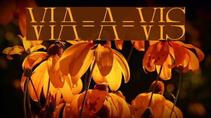 Via-A-Vis Font - FFonts.net