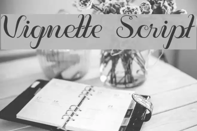 Vignette Script Font | Details & Characters — FFonts.net