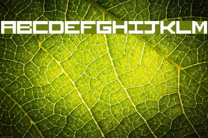 Viper Font - FFonts.net