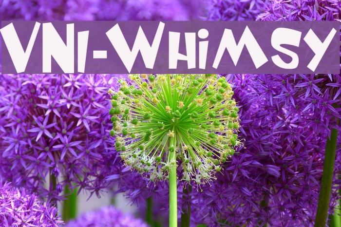 VNI-Whimsy Font - FFonts.net