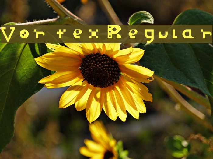 Vortex Regular Font - FFonts.net