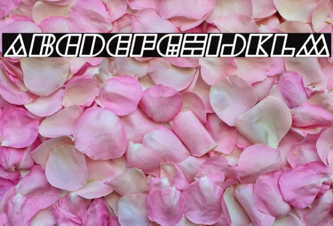 WAREHOUSE PROJECT Bold Italic Font | Free Download (TTF/OTF) | FFonts.