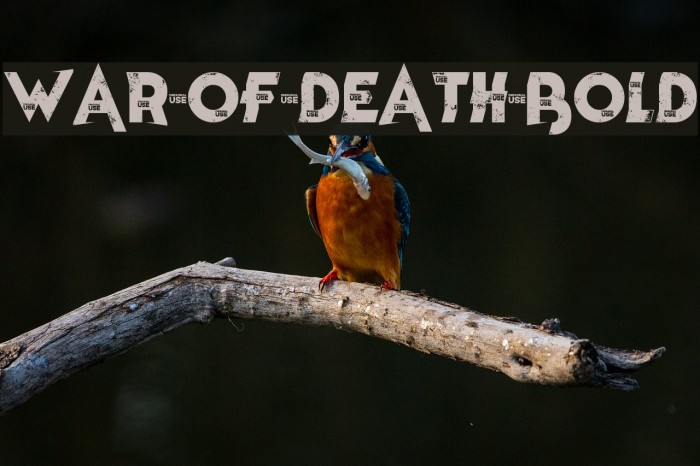 War of Death Bold Font - FFonts.net
