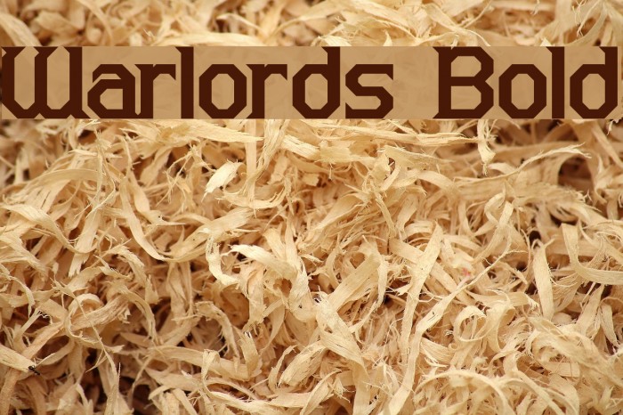 Warlords Bold Font - FFonts.net