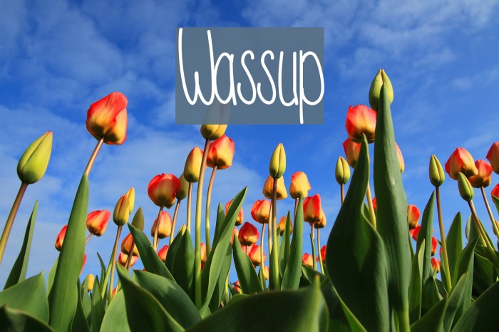 Wassup Font - FFonts.net