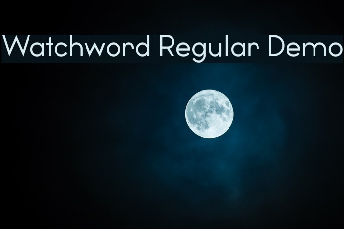 Watchword Regular Demo Font - FFonts.net