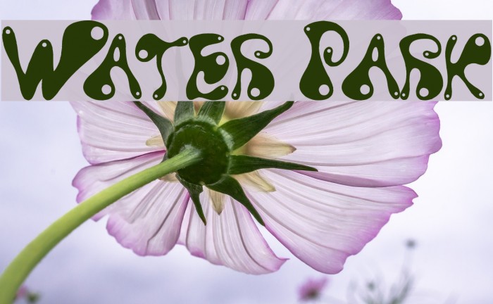 Water Park Font - FFonts.net