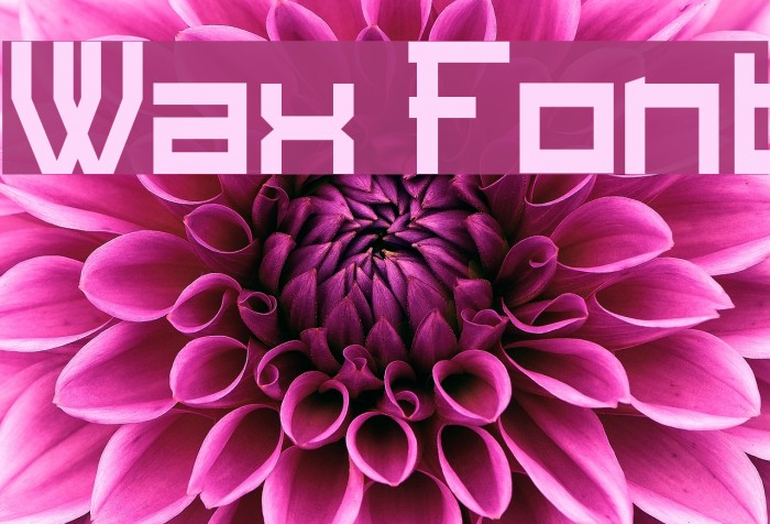 Wax Font - FFonts.net