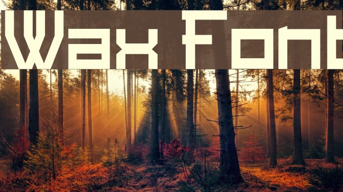 Wax Font - FFonts.net