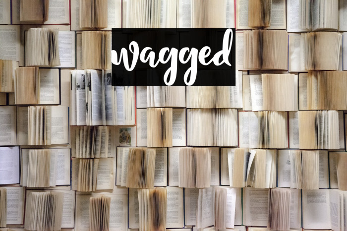 wagged Font - FFonts.net