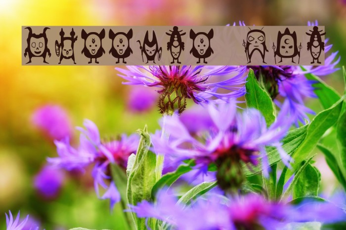 warrior dco Font - FFonts.net