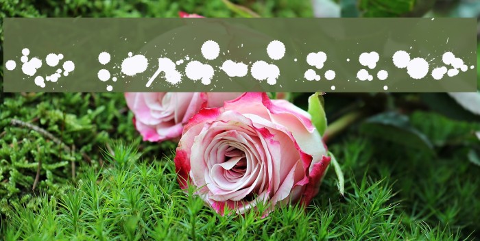 WC Rhesus B Bta Font - FFonts.net