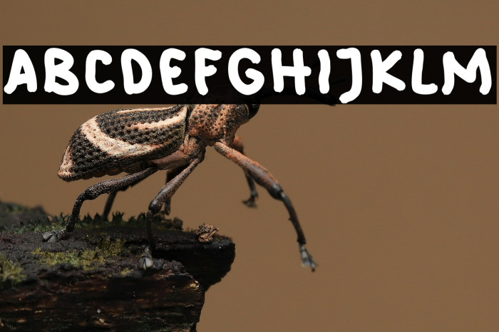 Weird Kids Fonte - FFonts.net