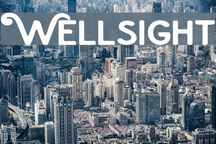 Wellsight Font - FFonts.net