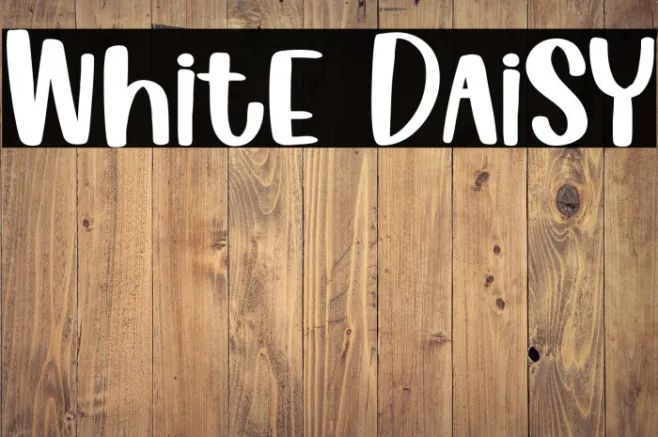 White Daisy Font | Free Download (TTF/OTF) | FFonts.net