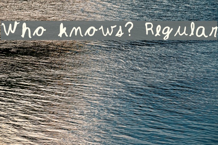 Who knows? Regular Font - FFonts.net
