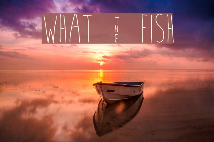 what ~ fish Font - FFonts.net