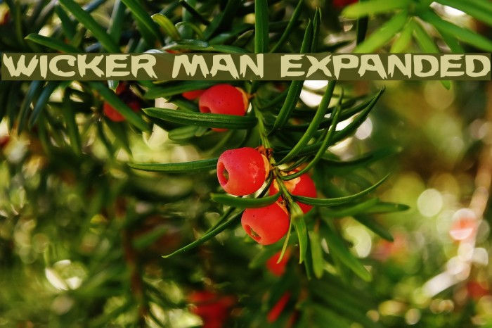 Wicker Man Expanded Font - FFonts.net