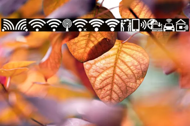 Wifi Icons Font - Free Download (TTF/OTF) | FFonts.net