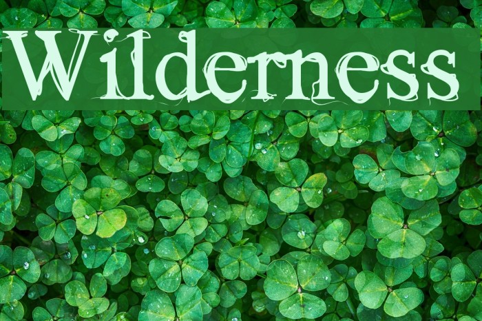 Wilderness Font - FFonts.net