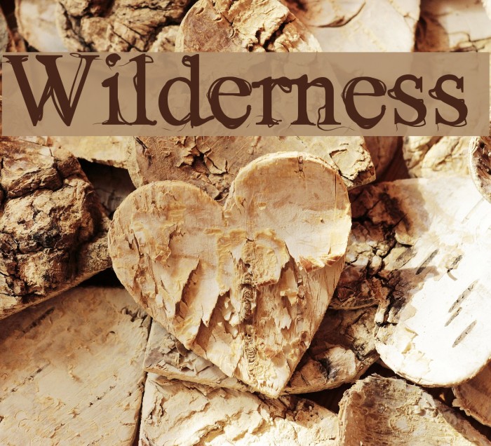 Wilderness Font - FFonts.net