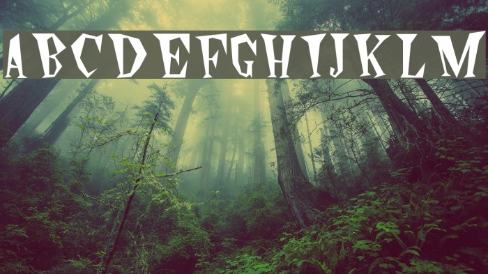 Wildside Plain Font - FFonts.net