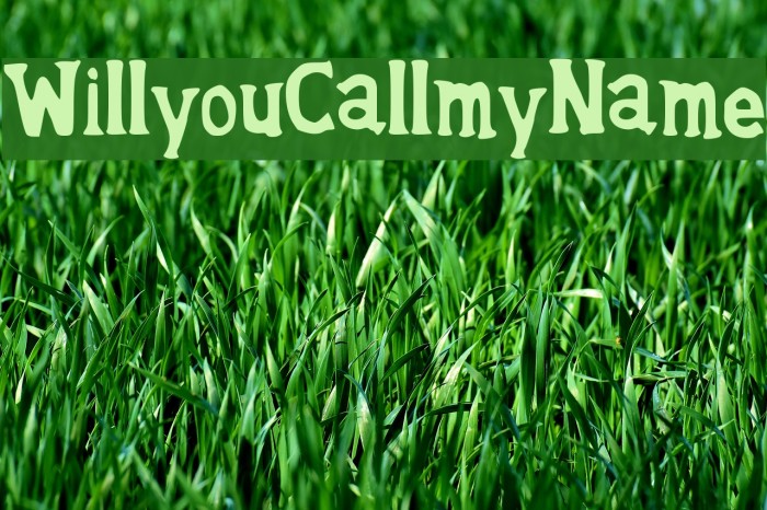 WillyouCallmyName Font - FFonts.net