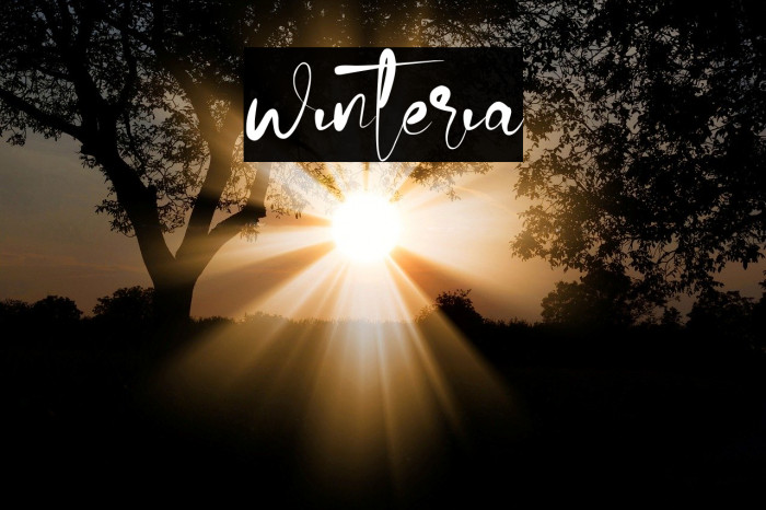 winteria Font - FFonts.net