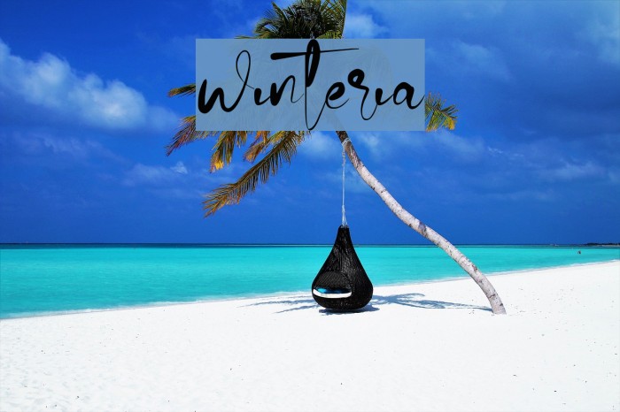 winteria Font - FFonts.net