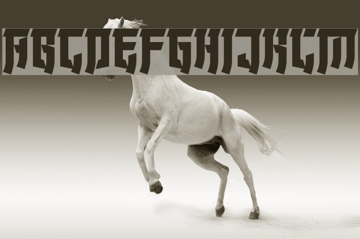 Wonders of the Orient Font - FFonts.net