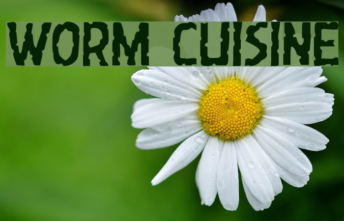 Worm Cuisine Font - FFonts.net
