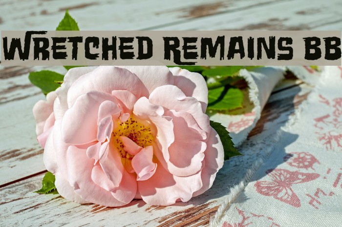 Wretched Remains BB Font - FFonts.net