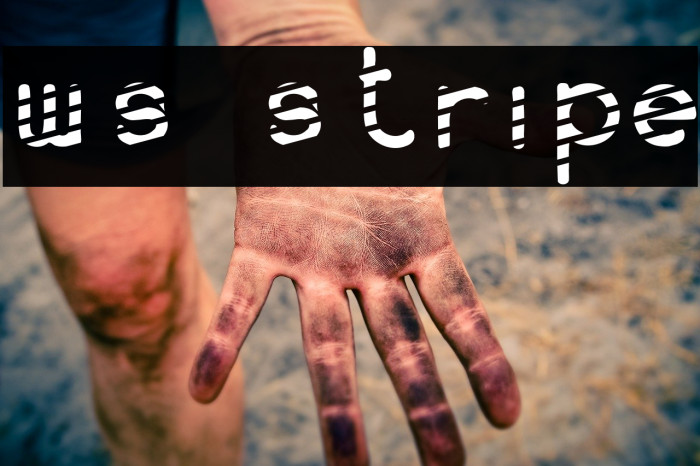 WS Stripe Font - FFonts.net