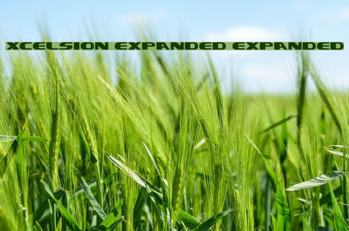 Xcelsion Expanded Expanded Font - FFonts.net