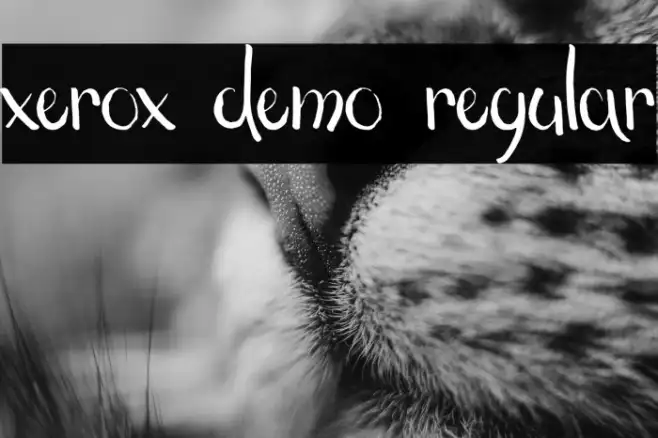 xerox demo regular Font | Free Download (TTF/OTF) | FFonts.n