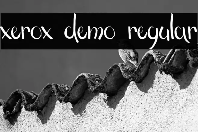 xerox demo regular Font | Free Download (TTF/OTF) | FFonts.n