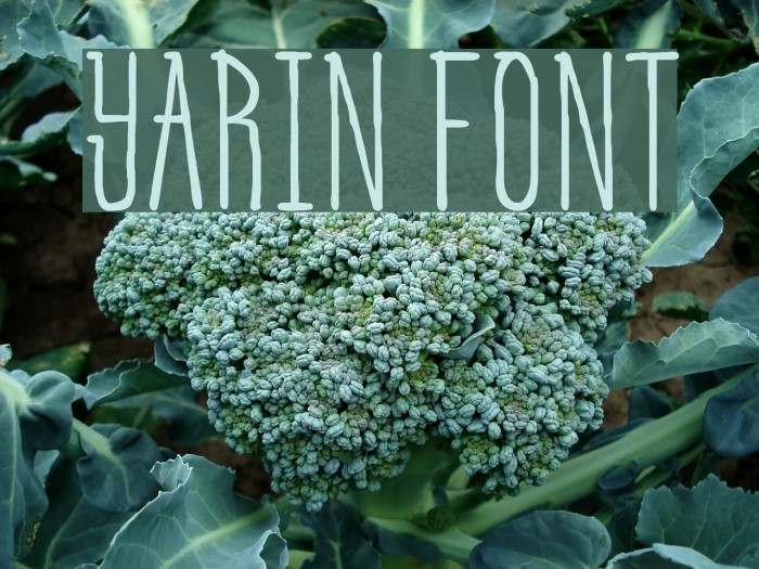 Yarin Font - FFonts.net