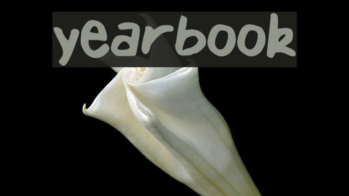 yearbook Font - FFonts.net