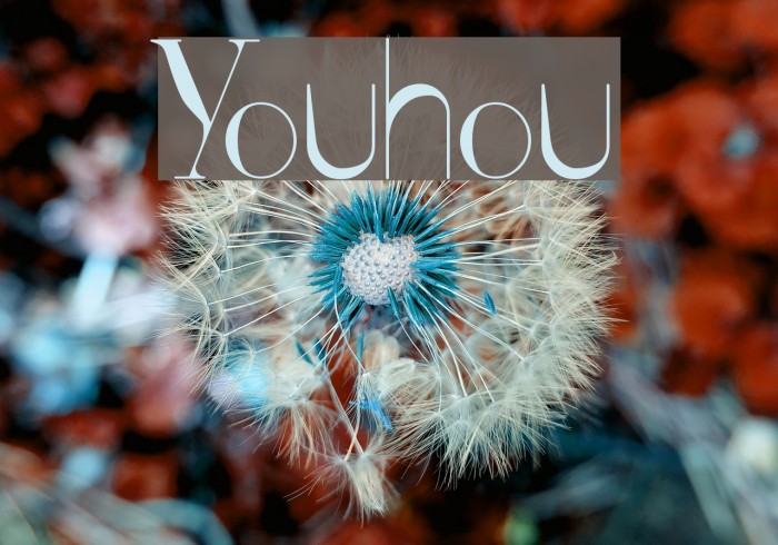 Youhou Font - FFonts.net