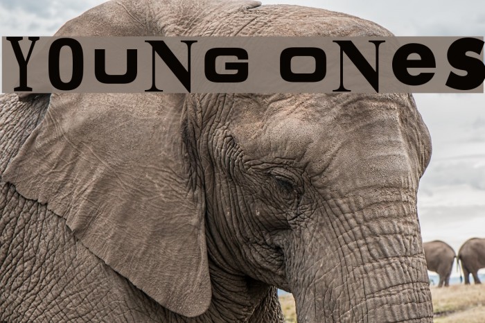 Young Ones Font - FFonts.net