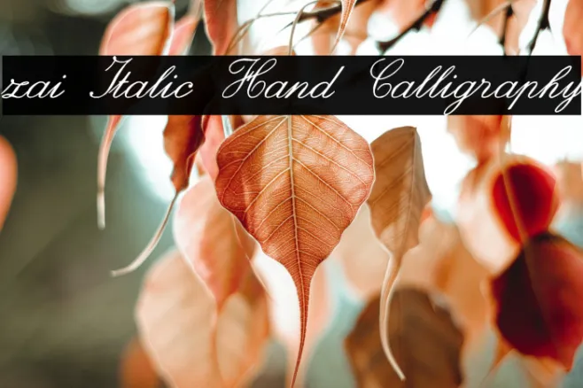 zai Italic Hand Calligraphy Font | Free Download (TTF/OTF) | FFonts.ne