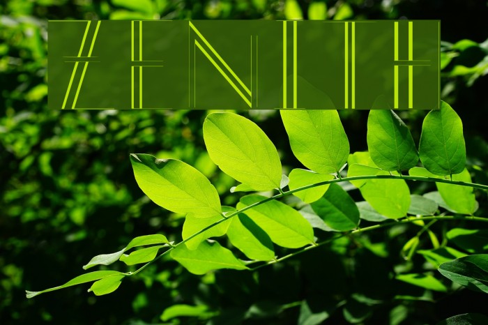 Zenith Font - FFonts.net