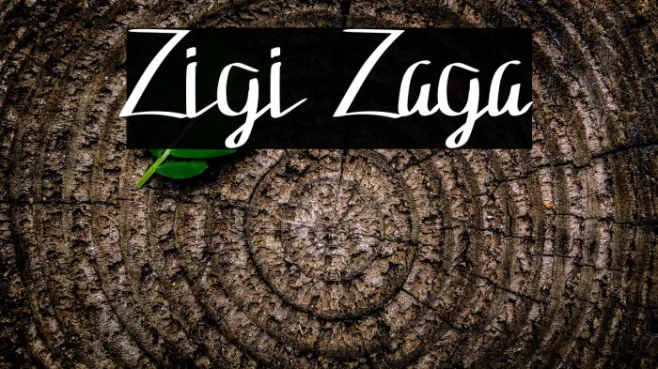 Zigi Zaga Font | Free Download (TTF/OTF) | FFonts.net