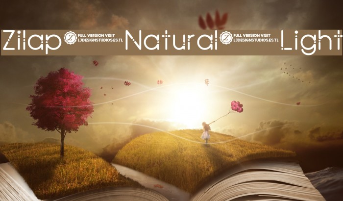Zilap Natural Light Font - FFonts.net