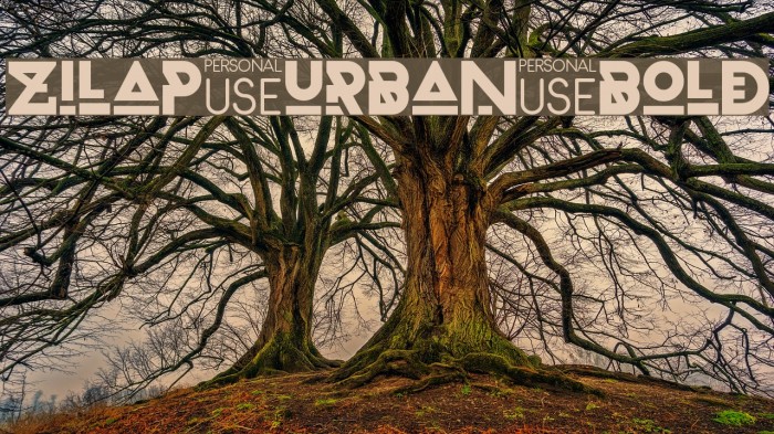 Zilap Urban Bold Font - FFonts.net