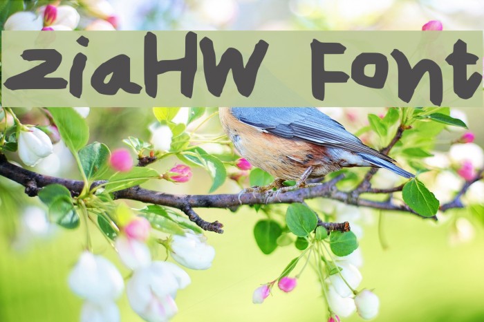 ziaHW Font - FFonts.net