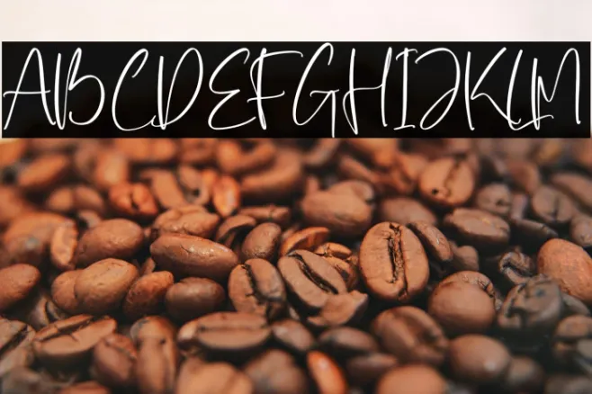 Zofia Larsonty Font | Free Download (TTF/OTF) | FFonts.net