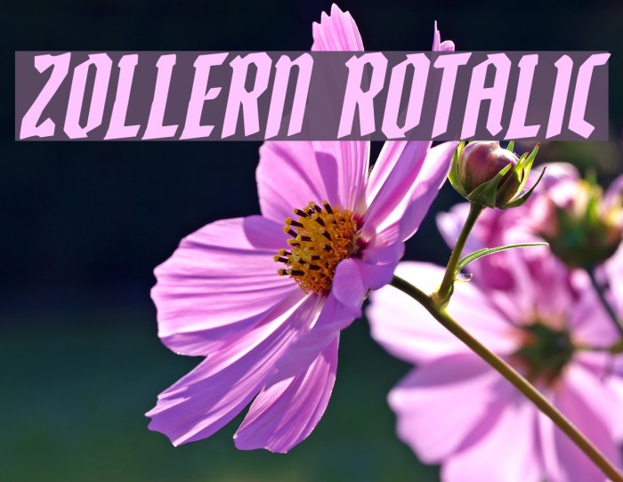 Zollern Rotalic Font - FFonts.net