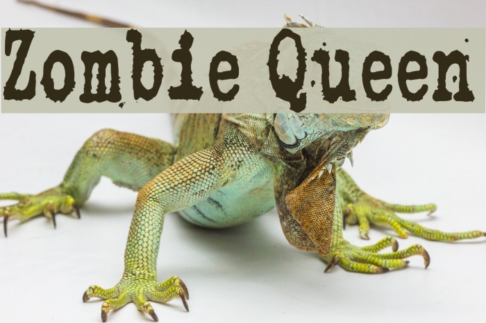 Zombie Queen Font - FFonts.net